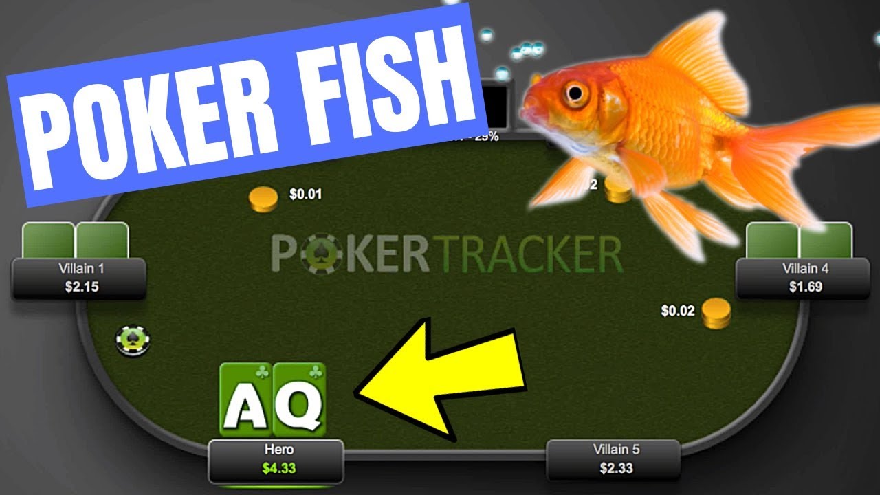 How to Play Against Fish in Poker?